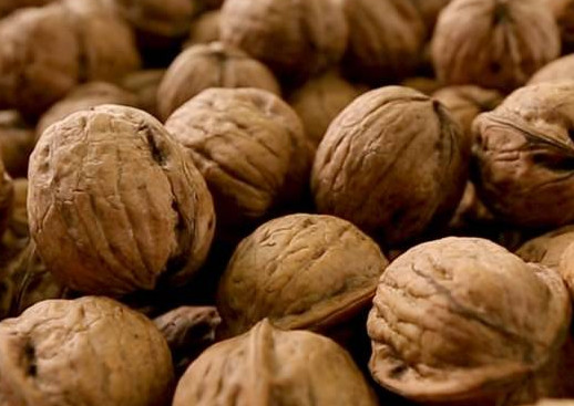 Proprietatile nucilor (hrana creierului) – Natură