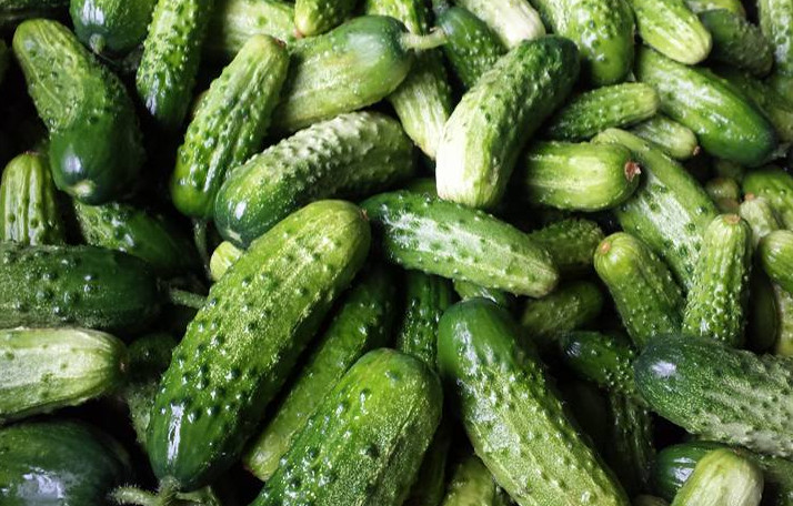 Castravetele şi cele mai neobişnuite soiuri – Natură