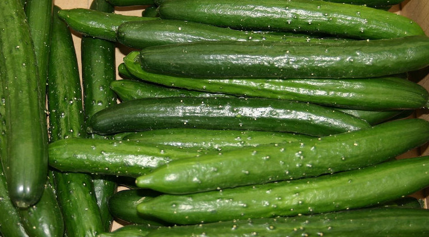 Castravetele şi cele mai neobişnuite soiuri – Natură