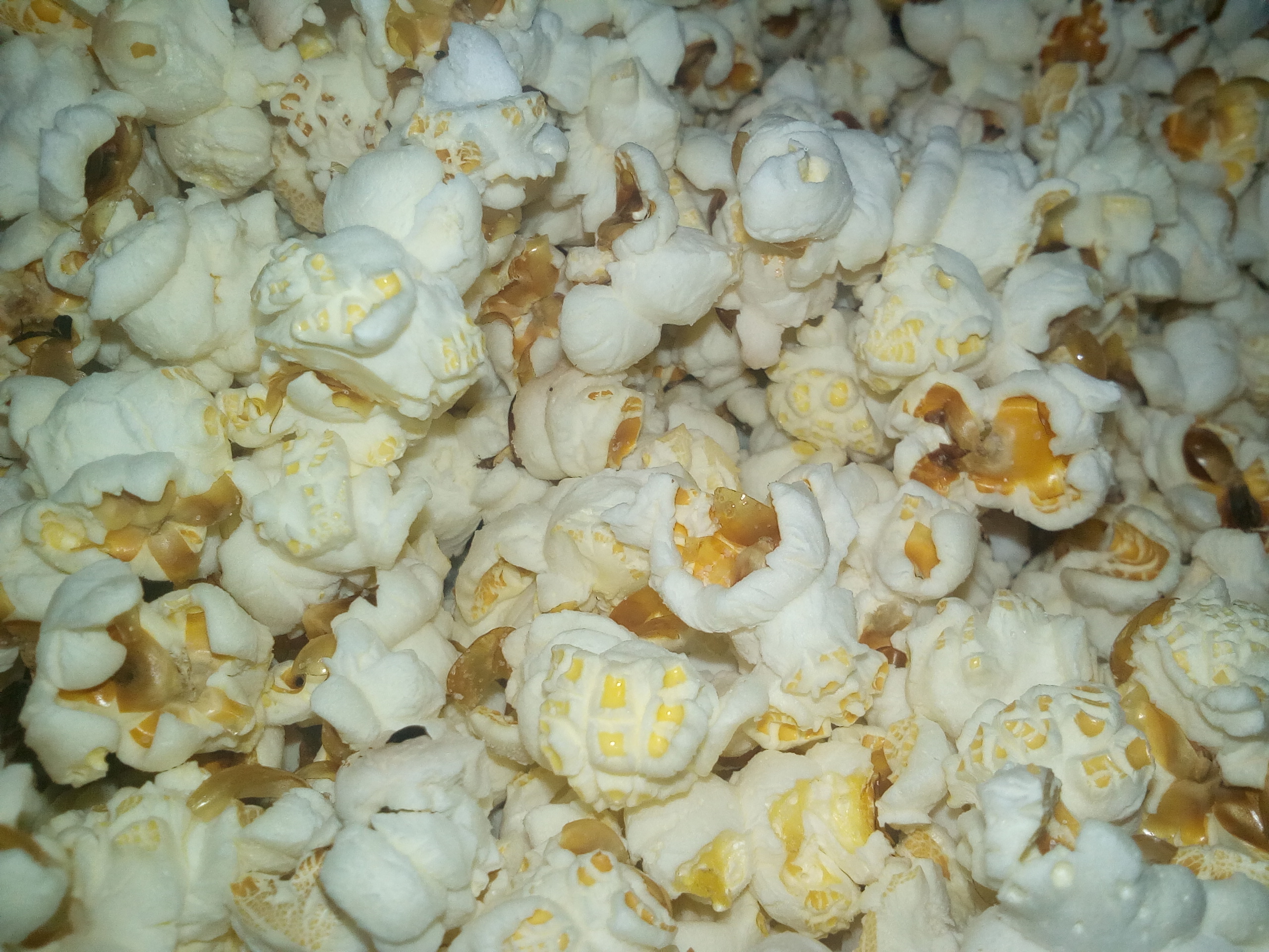 Ce este popcornul? – Natură