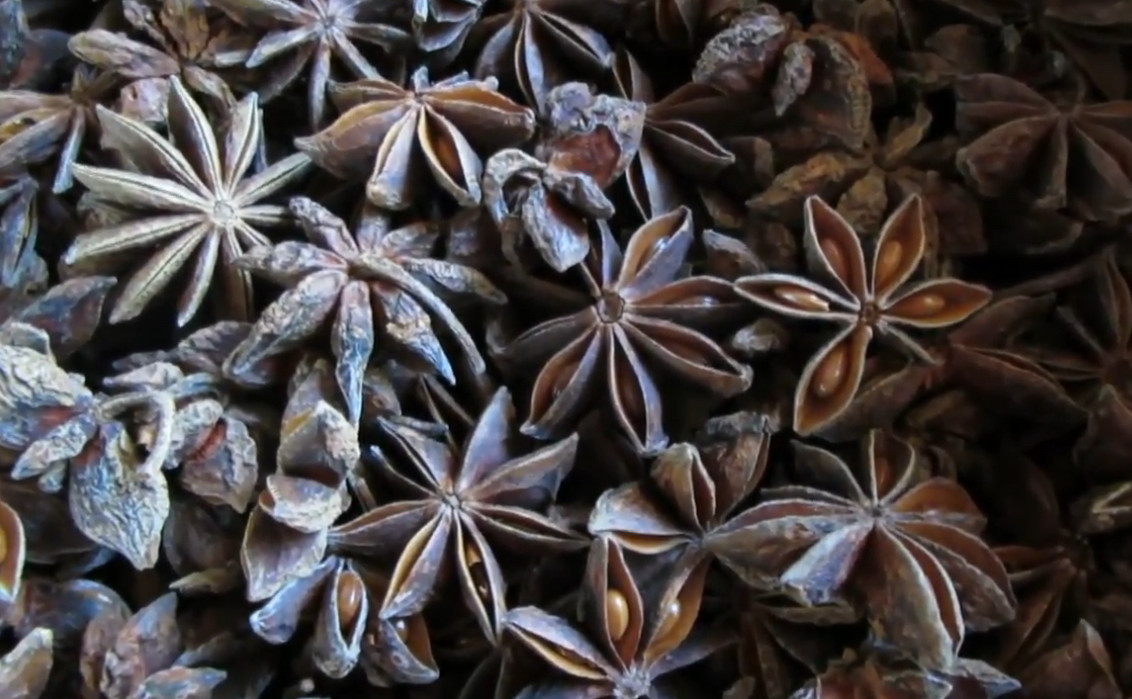 Illicium verum- Anasonul stelat – Natură