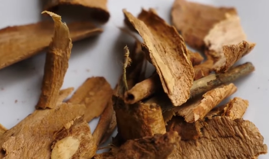 Tabernanthe iboga- Iboga – Natură