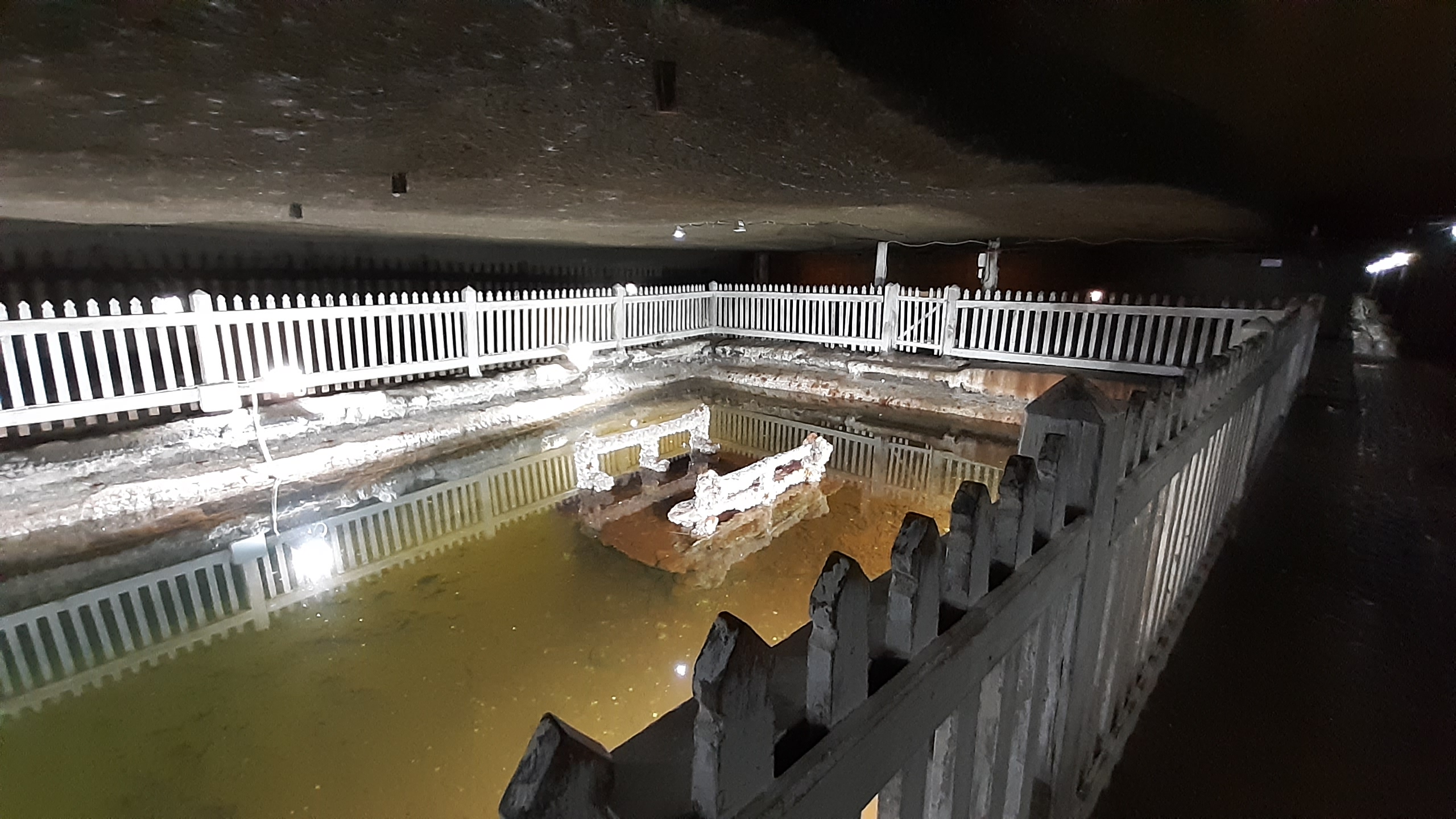 Salina Cacica, Jud.Suceava – Natură