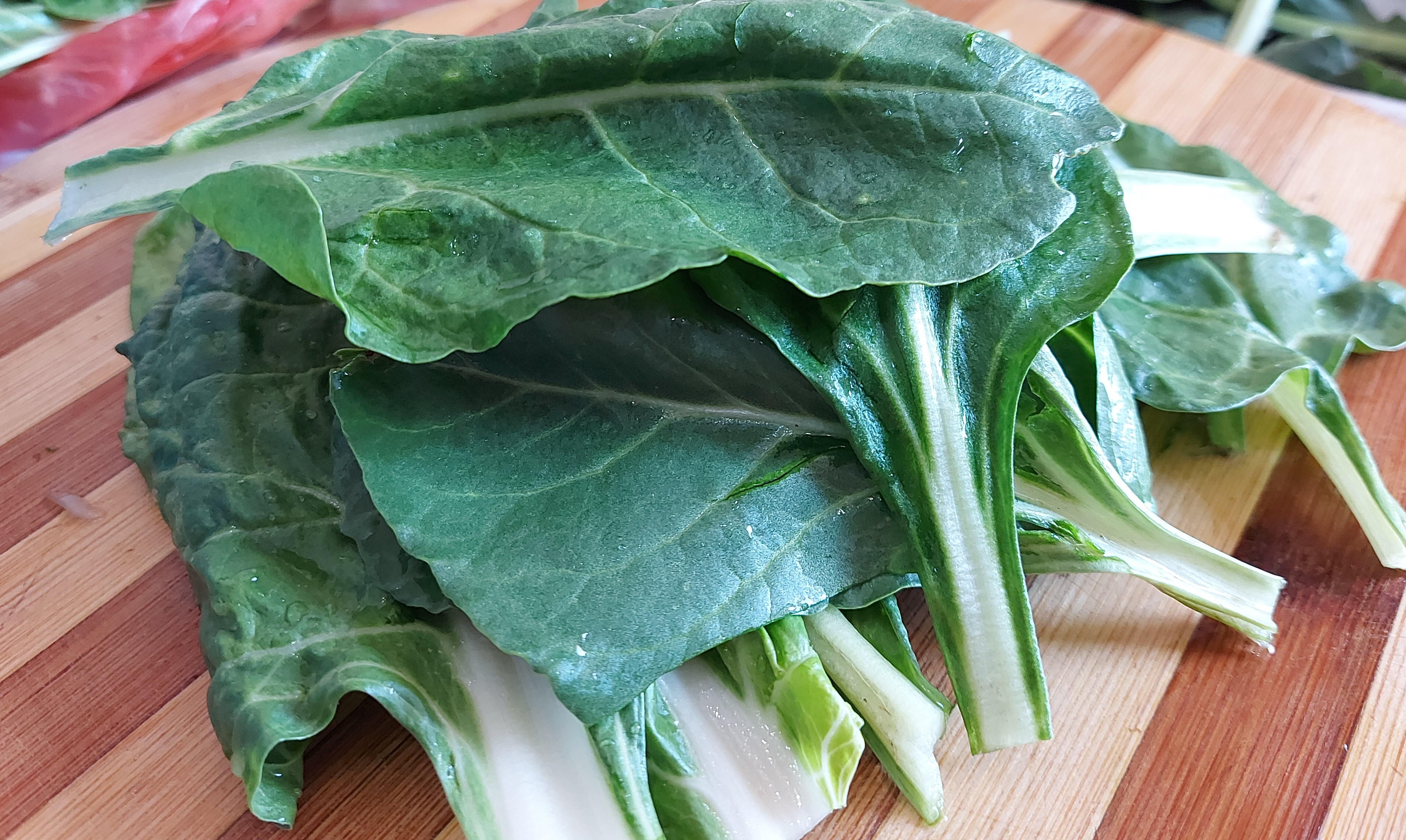 Mangold sau sfecla elveţiană – Natură