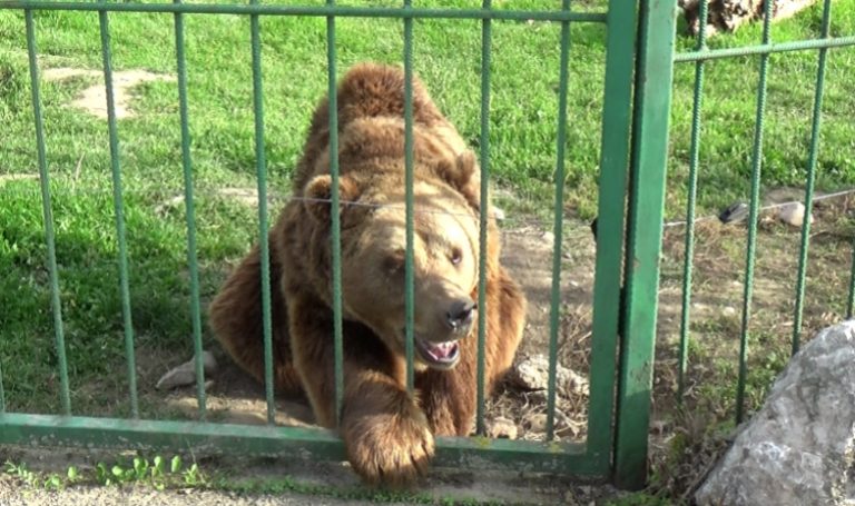 Grădina Zoologică din Oradea – Natură